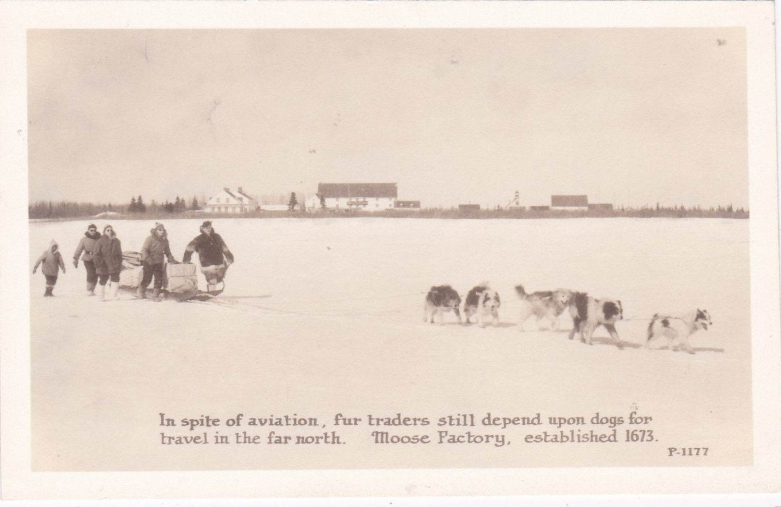 Sled Dog History - Kearney Dog Sled Races