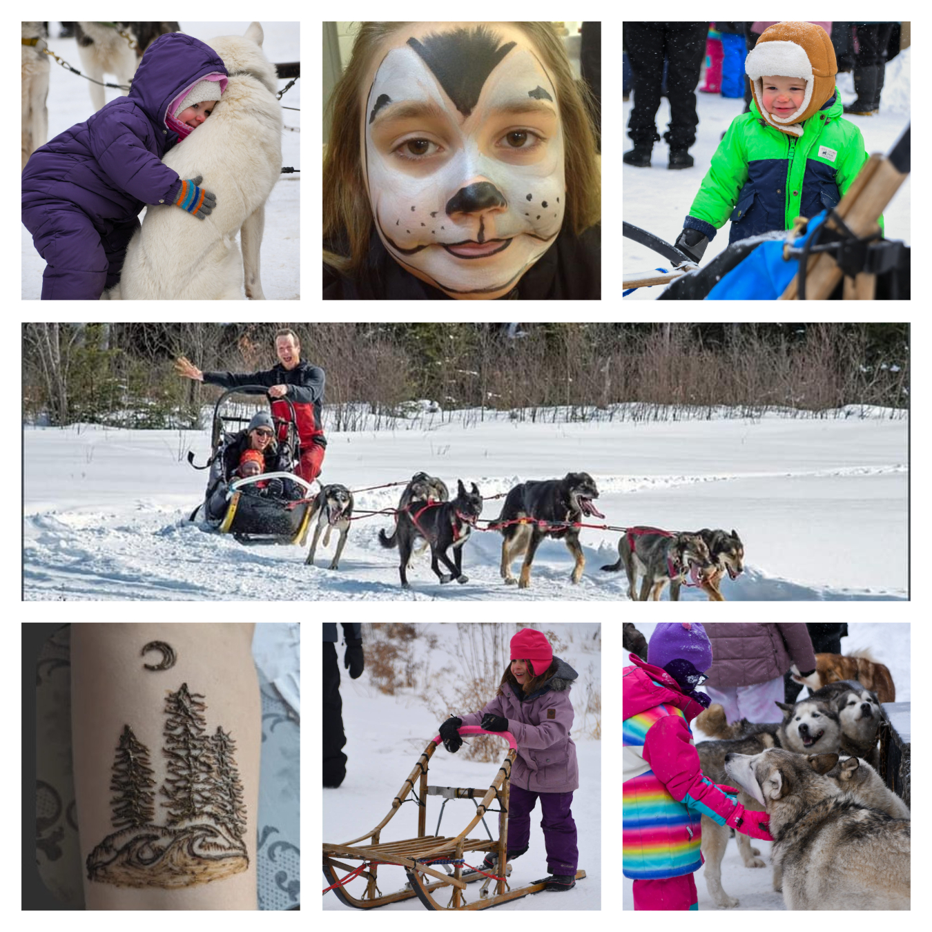 Events & Activities - Kearney Dog Sled Races