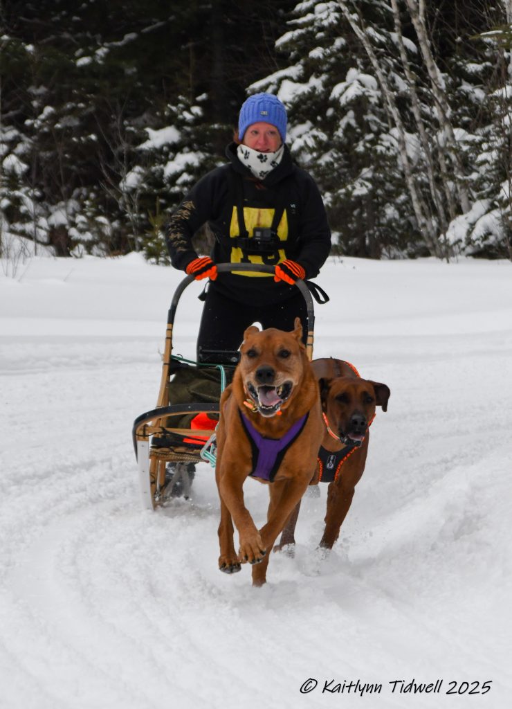 DSC_8610 - Kearney Dog Sled Races